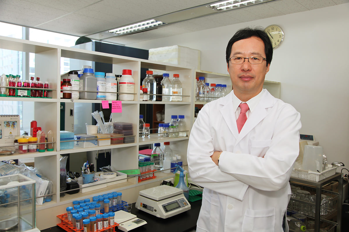 DISCOVER BENEFITS OF KOREAN GINSENG BERRY WITH DR.GINSENG BERRY | Nanagin